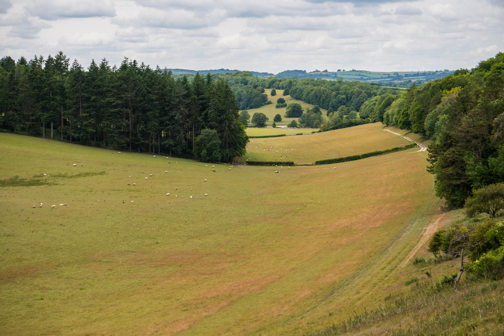 Codford Circle – Explore Local Attractions with Berrys Coaches